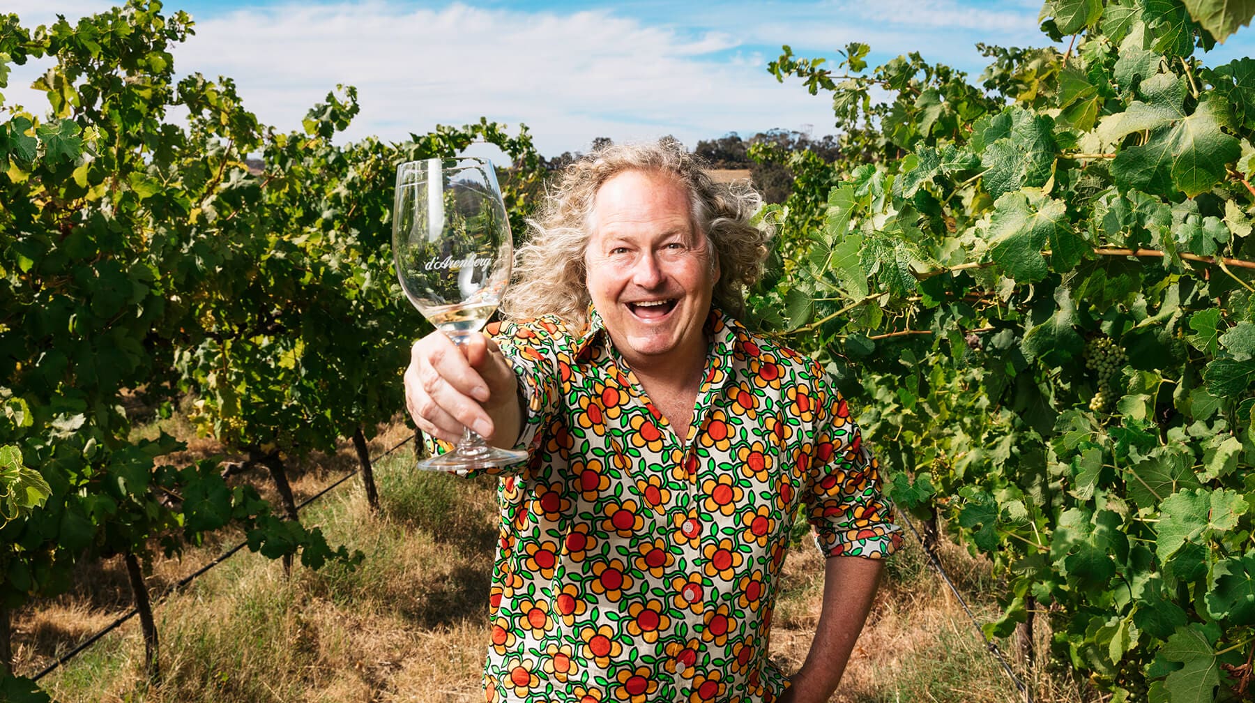 Två "museum viner" anno 2014 framplockade från d'Arenbergs vinkällare ...